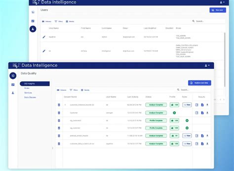 Ibi Data Intelligence Reviews 2025