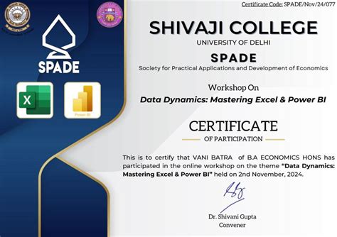 Excel Powerbi Dataanalysis Professionaldevelopment Spade Vani Batra