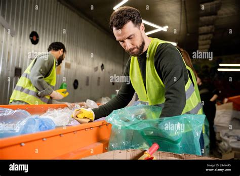 Bearded Sorter In High Visibility Vest And Protective Glove Separating
