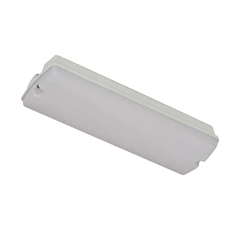 Robus Ip65 Maintained Led Bulkhead Led Bulkheads Robus Led Uk