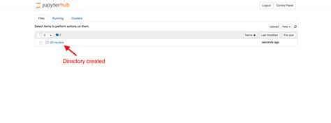 Dynamically Launch Jupyter Notebook After Logging Into Jupyterhub Jupyterhub Jupyter