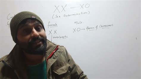 Sex Determination In Cockroach Grasshopper Most Insects Xx And Xo Type Youtube