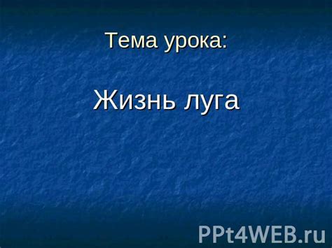Жизнь луга презентация к уроку Окружающий мир