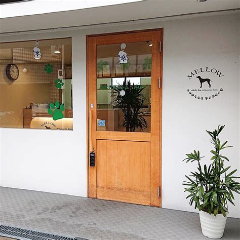 老犬介護ホーム メロー｜大阪府大阪市にある高齢のワンちゃんのための施設
