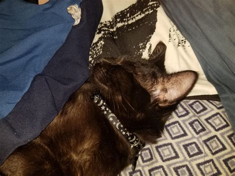 We Never Let Him Sleep With Us Because Hes Soo Energetic And We