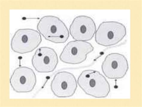 Magnetic Resonance Diffusion Weighted Imaging Ppt