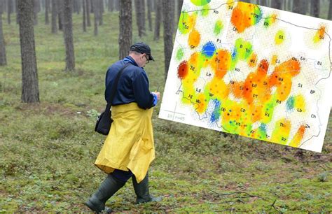 Mapa grzybów 2021 przewiduje fantastyczne warunki w ten weekend Gdzie