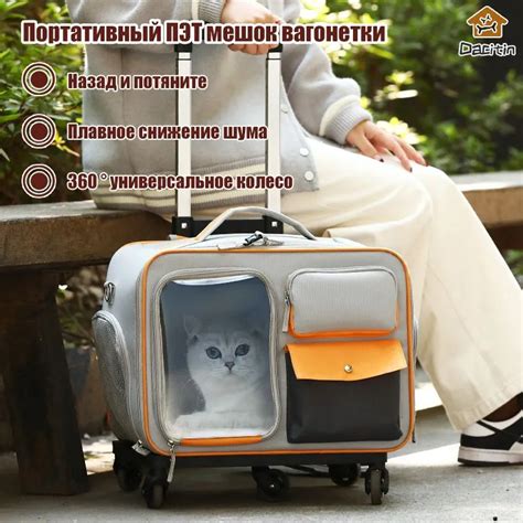 Переноска для кошек 4 в 1 переноска для кошек чемодан на колесах кошка