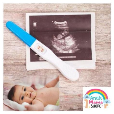 Pregnancy Test Pen Pregnant Tes Kehamilan Upk Opk Preggy Upt One Step