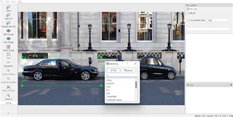 Do Data Annotations As Per Your Requirements By Dynamicsubham Fiverr