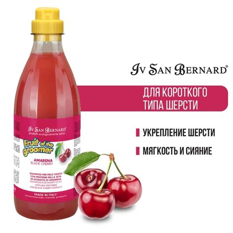 Купить ISB Fruit of the Groomer Black Cherry Шампунь для короткой ...