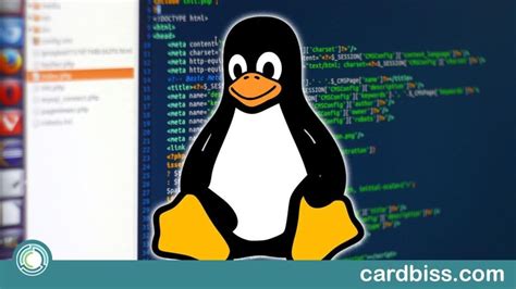 ¡aprende Los Conceptos Básicos De Linux Desde La Comodidad De Tu Hogar