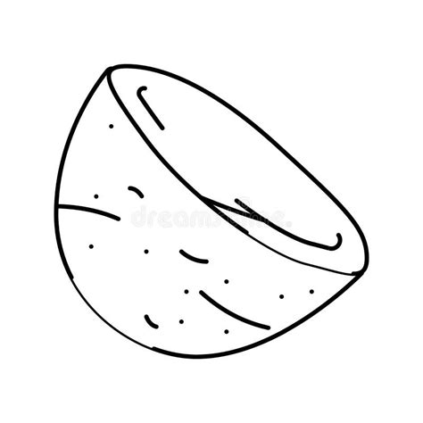 Cut Half Potato Stock Illustrations 977 Cut Half Potato Stock