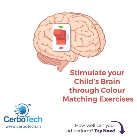 🧠 Colour Matching Exercises Cerbotech Education Pvt Ltd