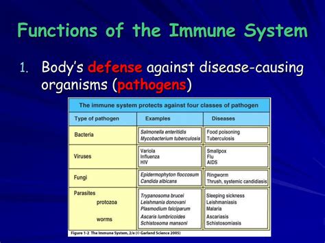 PPT Immune System PowerPoint Presentation Free Download ID 1820343