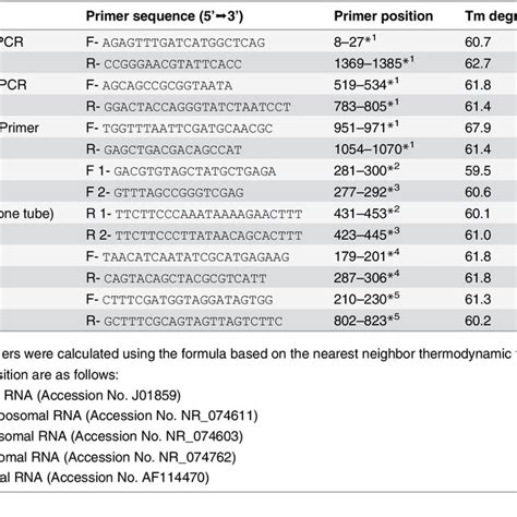 The Pcr Primers And Amplicon Sizes In Base Pairs Download Table
