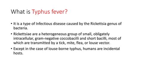 Typhus Feverpptx Infectious Diseases Diseases And Conditions