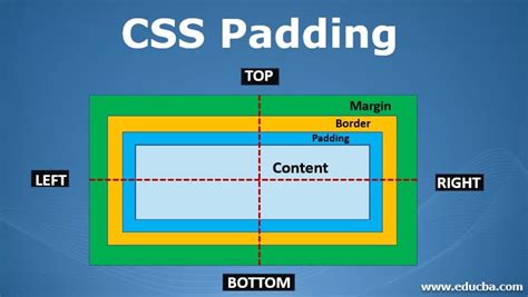 What Is Padding Html Css The Freecodecamp Forum