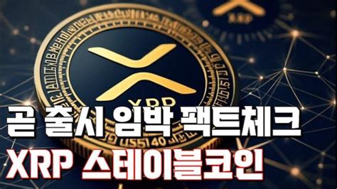 리플 스테이블코인 미 정부와 은밀히 협력 팩트체크 Xrp Youtube