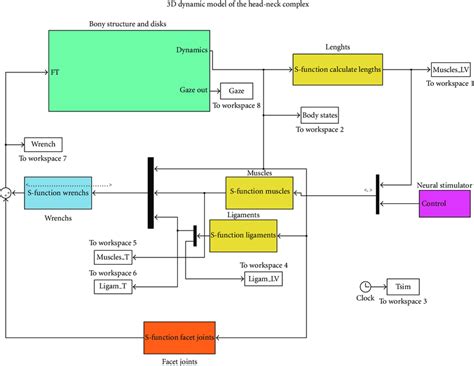 General Structure Of The Model In Simulink Note That The Bony Download Scientific Diagram