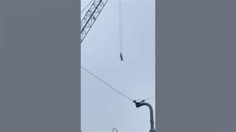 이게 뭔지 아시는 분 심장 떨어질 뻔 Youtube