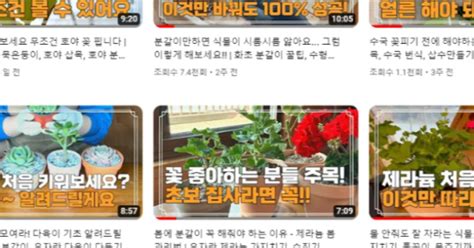 식물 유튜버 영상편집 정희지 숨고 숨은고수