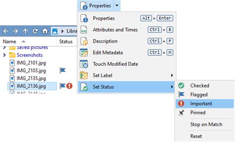 Labels And Status Icons Directory Opus Manual Labels And Status Icons Directory Opus Manual