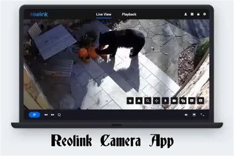 Reolink App Download For Pc Windows 1011 Free