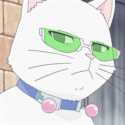 Cat Saiki Personajes De Anime Peliculas Japonesas Anime Felinos