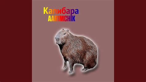 Капибара Youtube