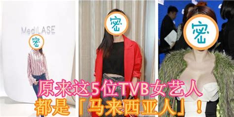 原來這5位TVB女藝人都是馬來西亞人 PEEKME