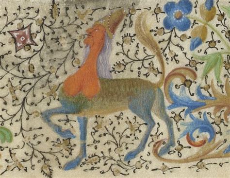 Ластоногий единорог и Ко Артефакты в картинаках и фотографиях Illuminated Manuscript