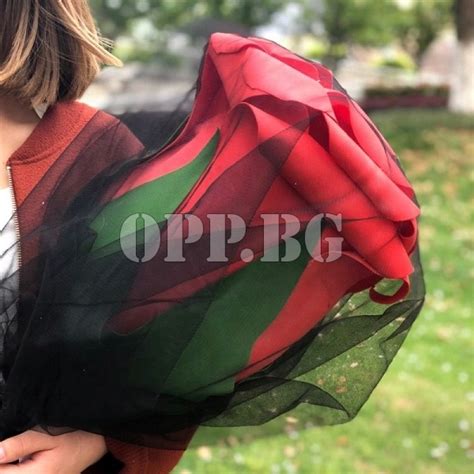 opp.bg - Мега гигантска декоративна роза