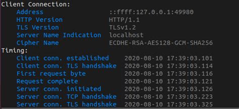 Nodejs Able To Call An Api Via Curl But Same Api Hangs When Called