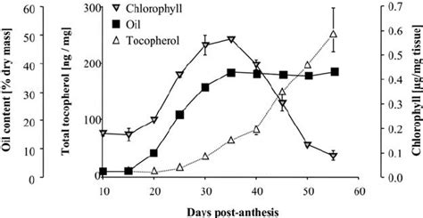 Profile Of Tocopherol Chlorophyll And Oil Accumulation In Developing Download Scientific