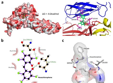 Docking Model Between Hexachlorophene And The Sftsv Gc Glycoprotein Download Scientific