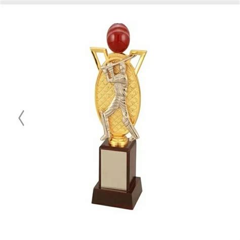 Golden Brass Cricket Trophy Shape Rectangular At ₹ 900piece In Moradabad