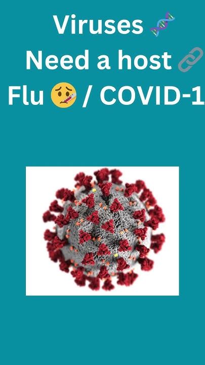 Tiny But Mighty Discover The 6 Types Of Microbes 🦠🍄🧬microbes