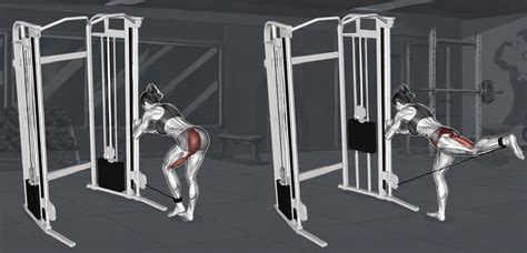 Cable Glute Kickback Proper Form Muscles Worked Variations
