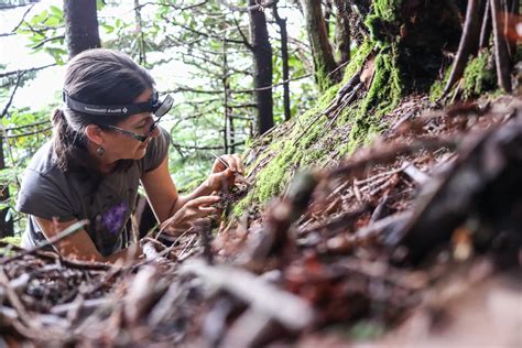 Scientific Impact Biodiversity Genomics Europe