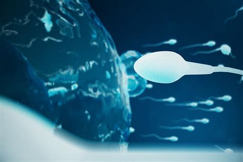 What Color Is Sperm After A Vasectomy Conceive Plus®