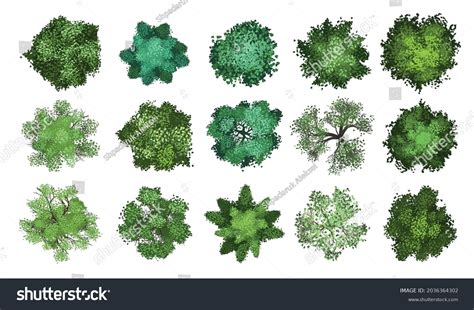 Vector Collection Realistic Trees Top View Stock Vector Royalty Free Shutterstock