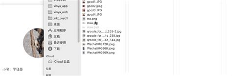 关于react中上传头像 图片的那点事 这样做就对了react实现头像鼠标移入显示上传图标 Csdn博客