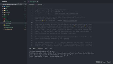json for modern c 使用 modern json csdn博客