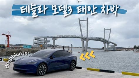 테슬라 모델3 태안 차박 Youtube