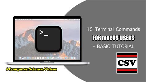 15 Terminal Commands For Beginners Programmers And Macos Users Basic Tutorial Youtube