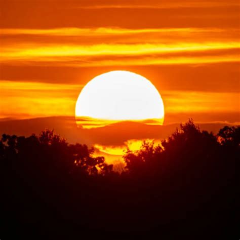 Isp Technologies Added A New Photo — Isp Technologies