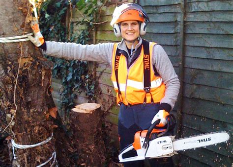 Isleworth Tree Surgeon Tree Surgery Sykes Tree Care