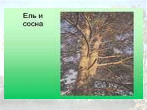 Жанровое своеобразие произведения М М Пришвина «Кладовая солнца