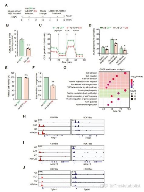 Cell Metabolism